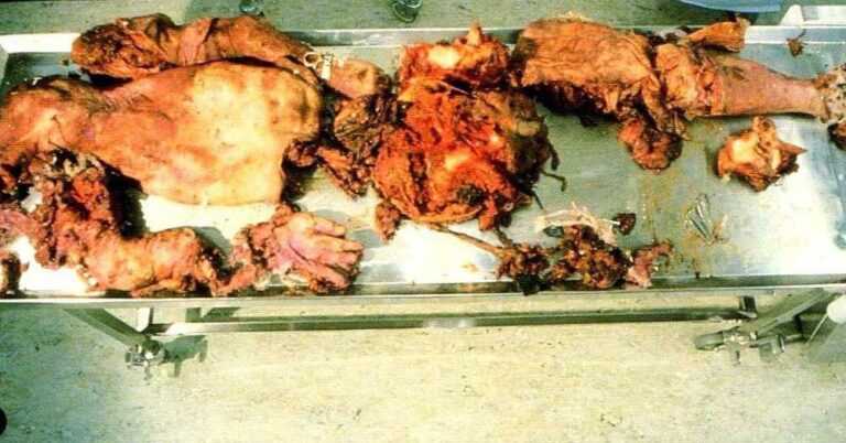 Byford Dolphin Incident Autopsy – thehealthandnutrition.com